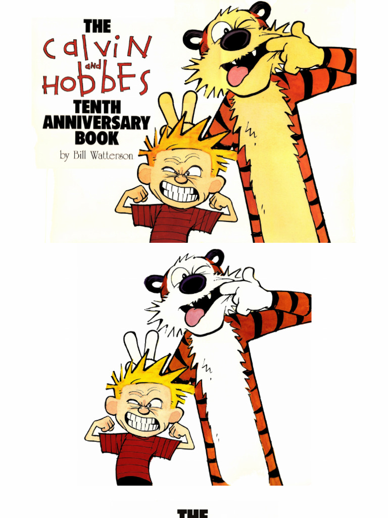 The Calvin And Hobbes Tenth Anniversary Book Watterson Bill Z