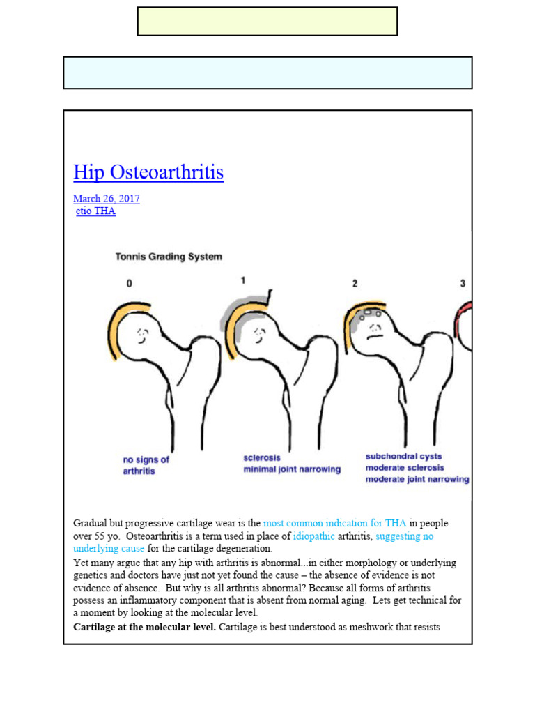 Hip Osteoarthritis DJD in THA Arthroplasty of The Hip | PDF
