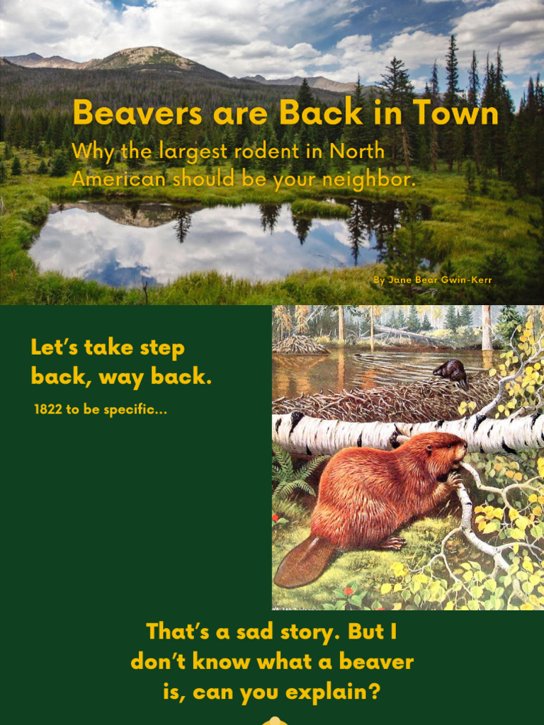 Beavers 1 | PDF | Social Science | Science & Mathematics