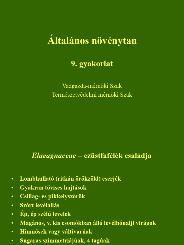 Általános Ntan Gyak 9 | PDF