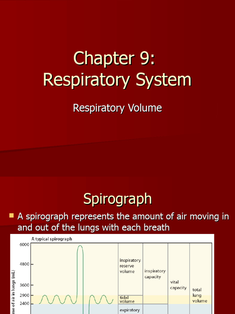 Understanding Lung Volumes and Spirometry | PDF