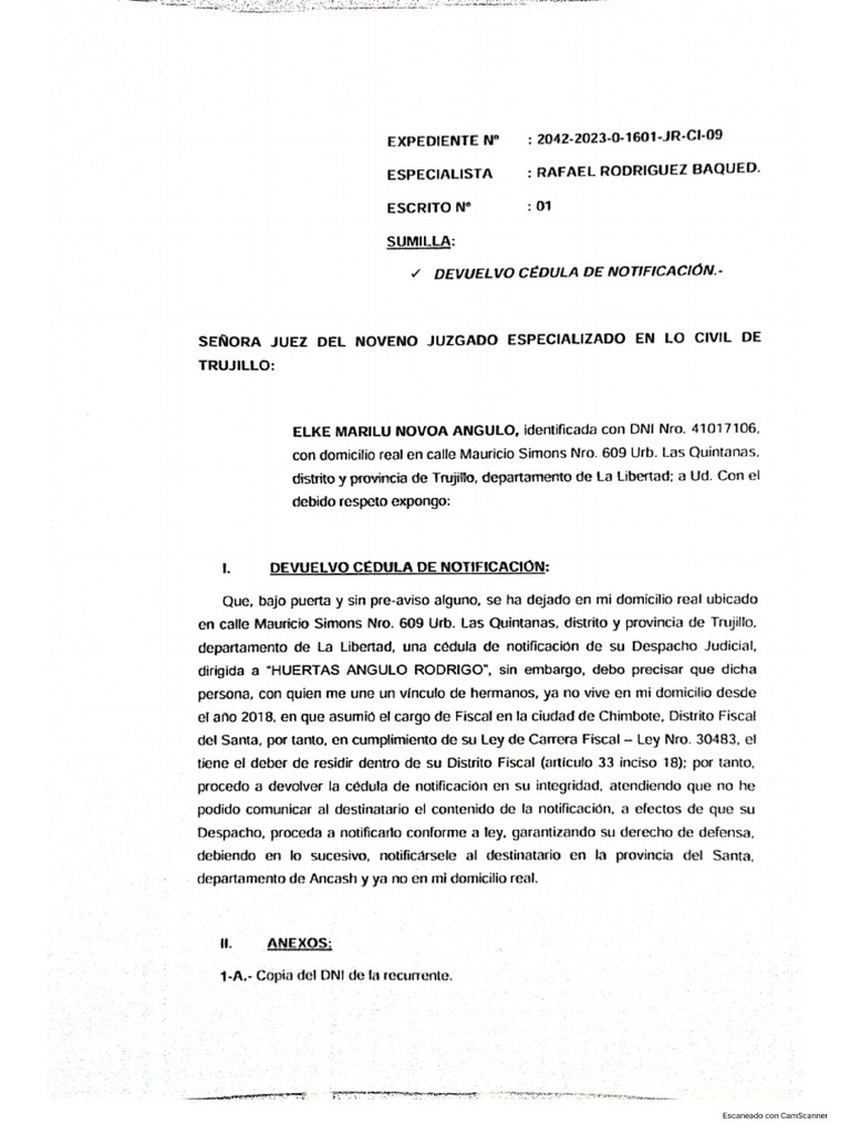 Exp. 02042-2023-0-1601-JR-CI-09 - Anexo - 05954-2024 | PDF