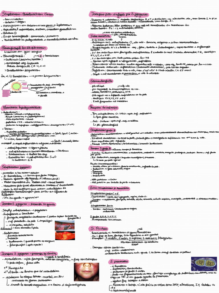T5 - Streptococcus e Enterococcus - 231105 - 163150 | PDF