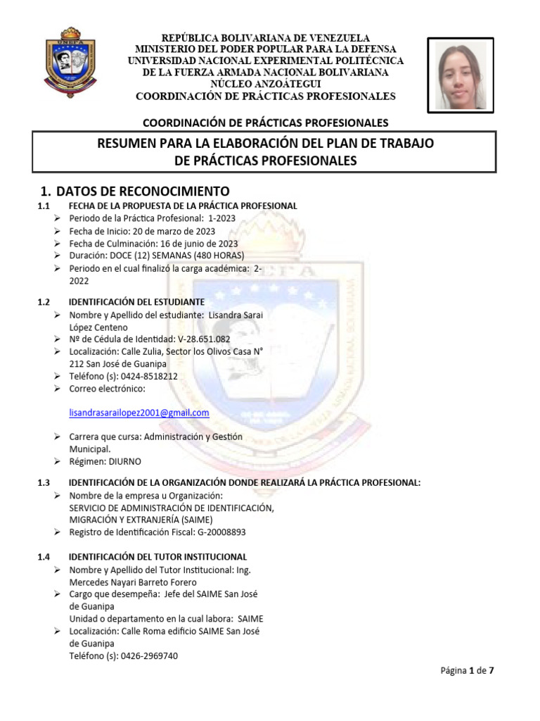 Resumen Plan de Trabajo. | PDF | Informática