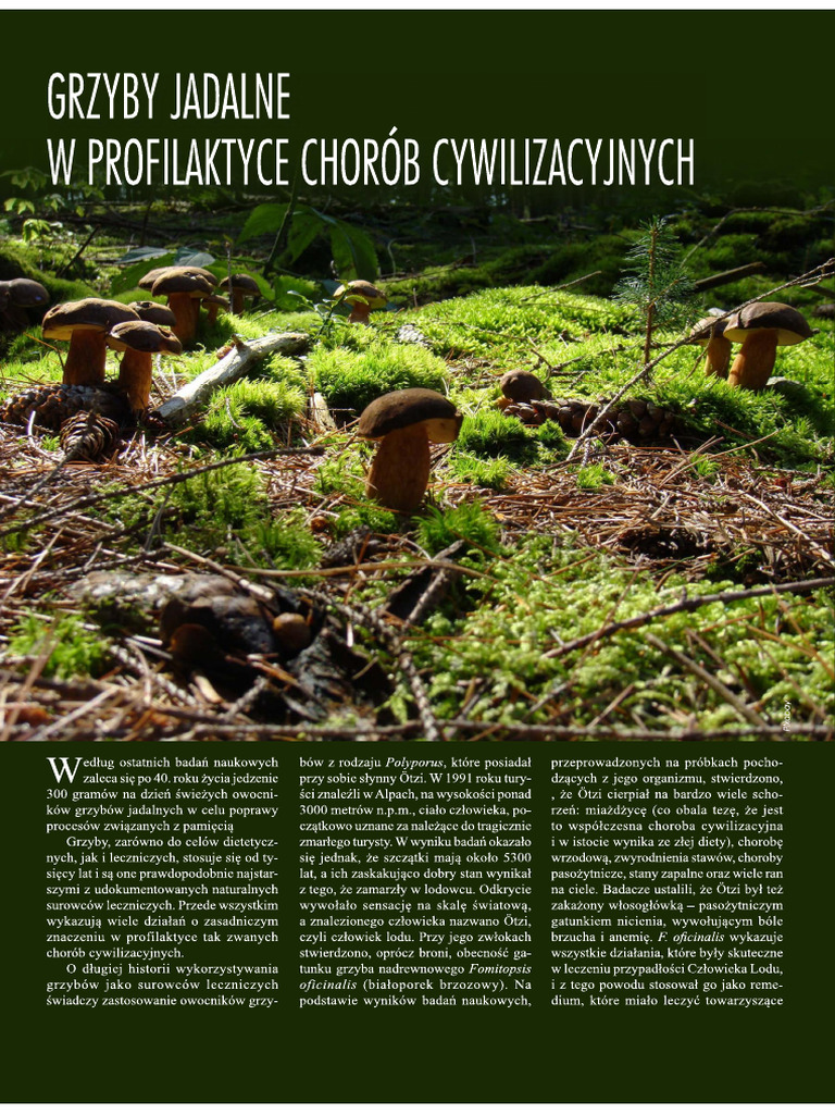 Grzyby Jadalne W Profilaktyce Chorób Cywilizacyjnych | PDF