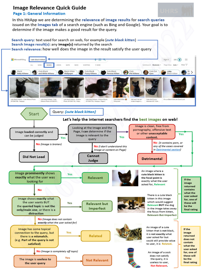 Image Result Relevance v1.4 Guidelines | PDF | Information Retrieval | Leonardo Da Vinci