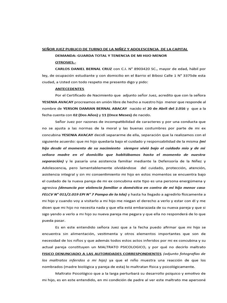 Demanda Tenencia y Guarda | PDF | Abuso infantil | Justicia
