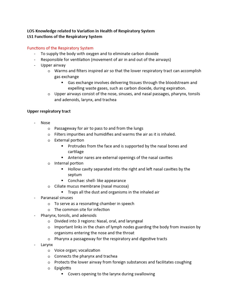 Functions of Respiratory System | PDF | Respiratory Tract | Lung