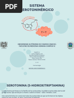 Tolestan: Uso y Dosis en Migraña | PDF | Droga anti-inflamatoria libre ...