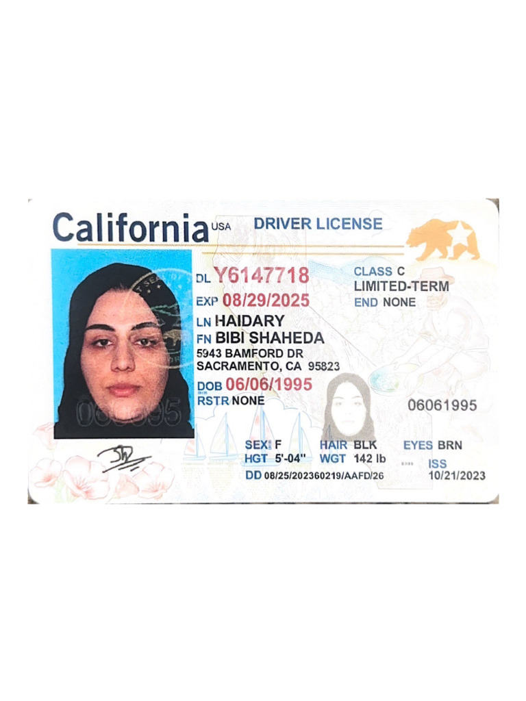 Driver License | PDF
