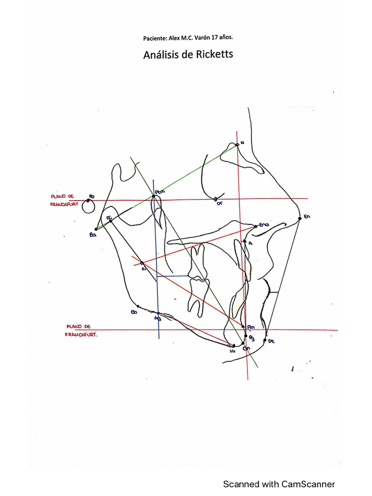 Análisis Steiner | PDF