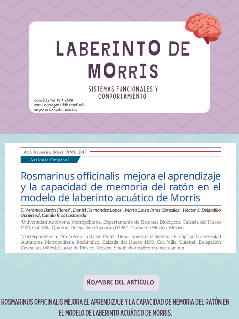 Laberinto de Morris | PDF | Enfermedad de Alzheimer | Medicina