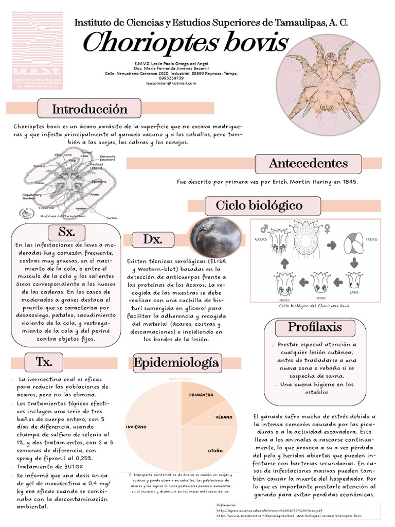 Ciclo Biológico de Chorioptes bovis | PDF | Causas de la muerte ...