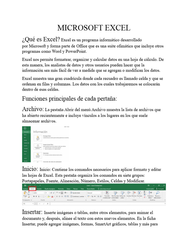 Microsoft Excel | PDF | Microsoft Excel | Hoja de cálculo