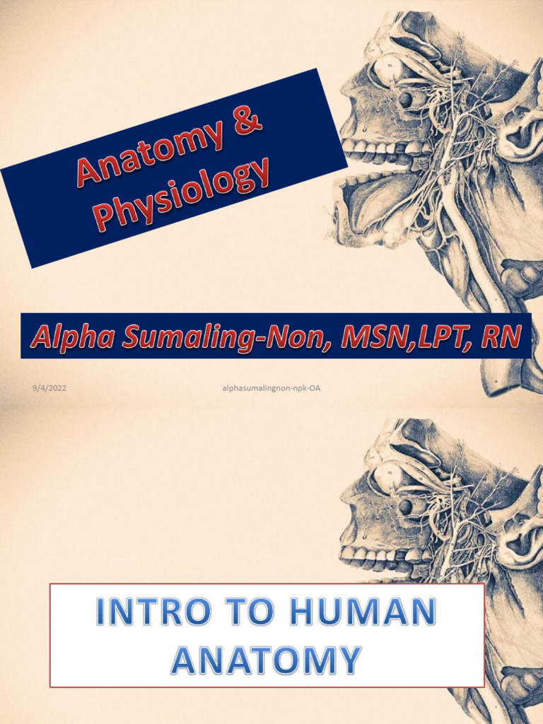 intro to human anatomy | PDF | Homeostasis | Human Body