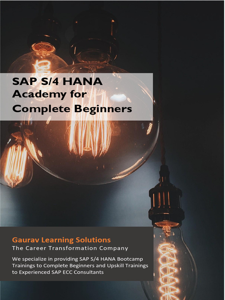 SAP S4 HANA Academy For Complete Freshers | PDF | Payments | Debits And ...
