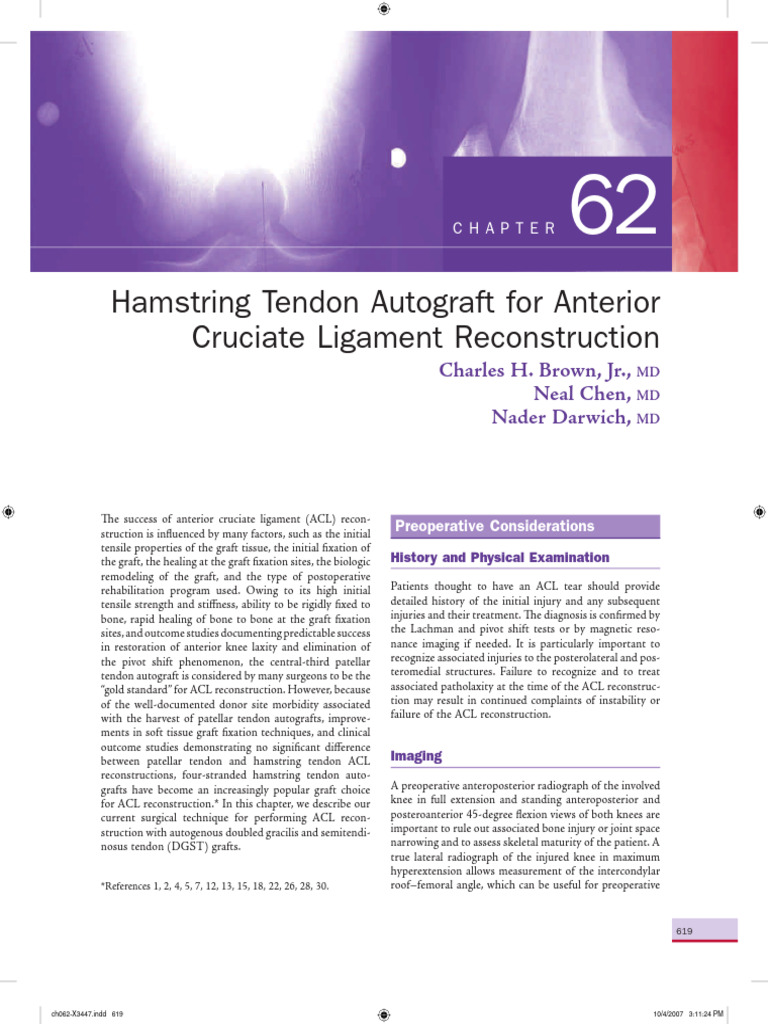 Hamstring Acl Recon Book Chapter | Download Free PDF | Knee | Human Anatomy