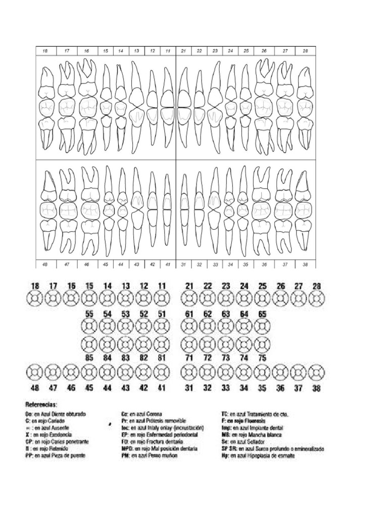 Odontogramas | PDF