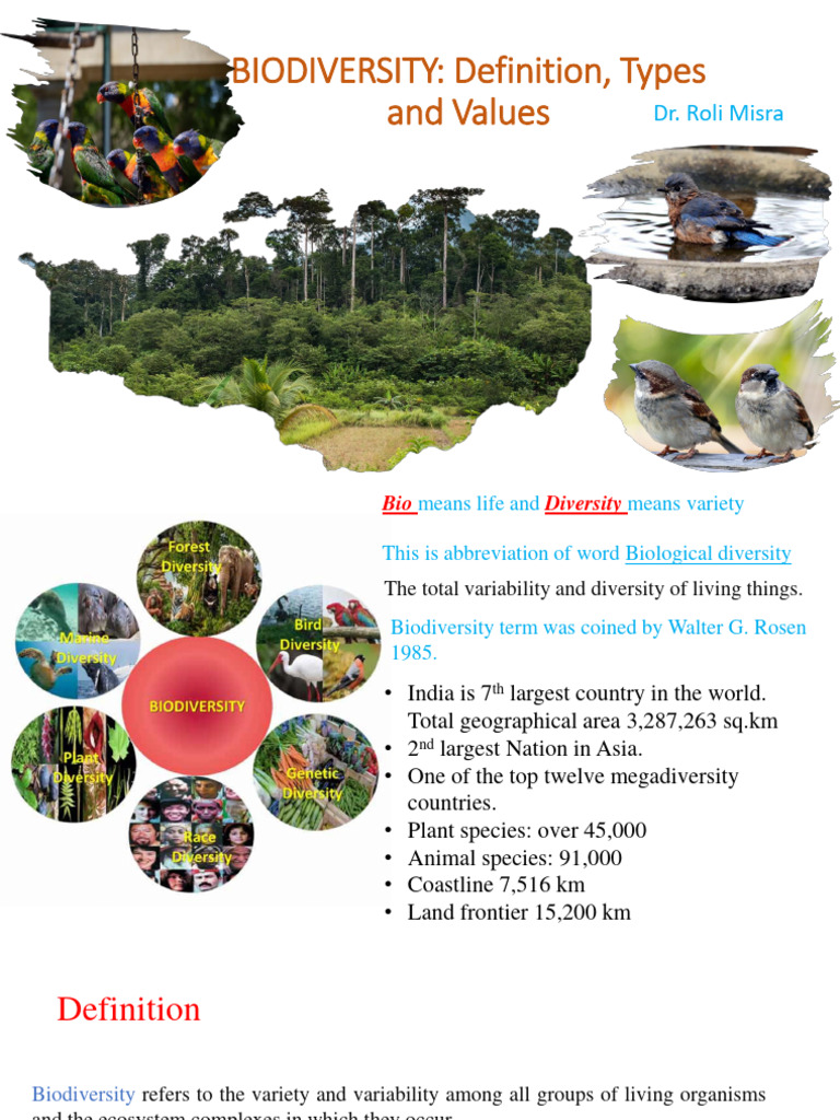 Biodiversity Definitition, Types and Values | PDF | Biodiversity ...