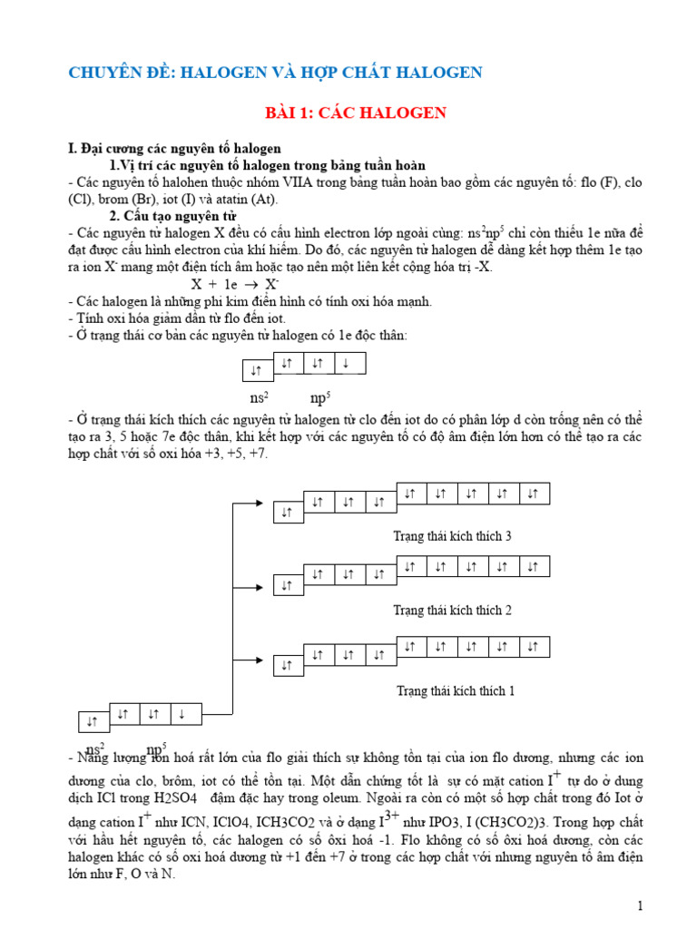 Cd5 Nhom Halogen | PDF