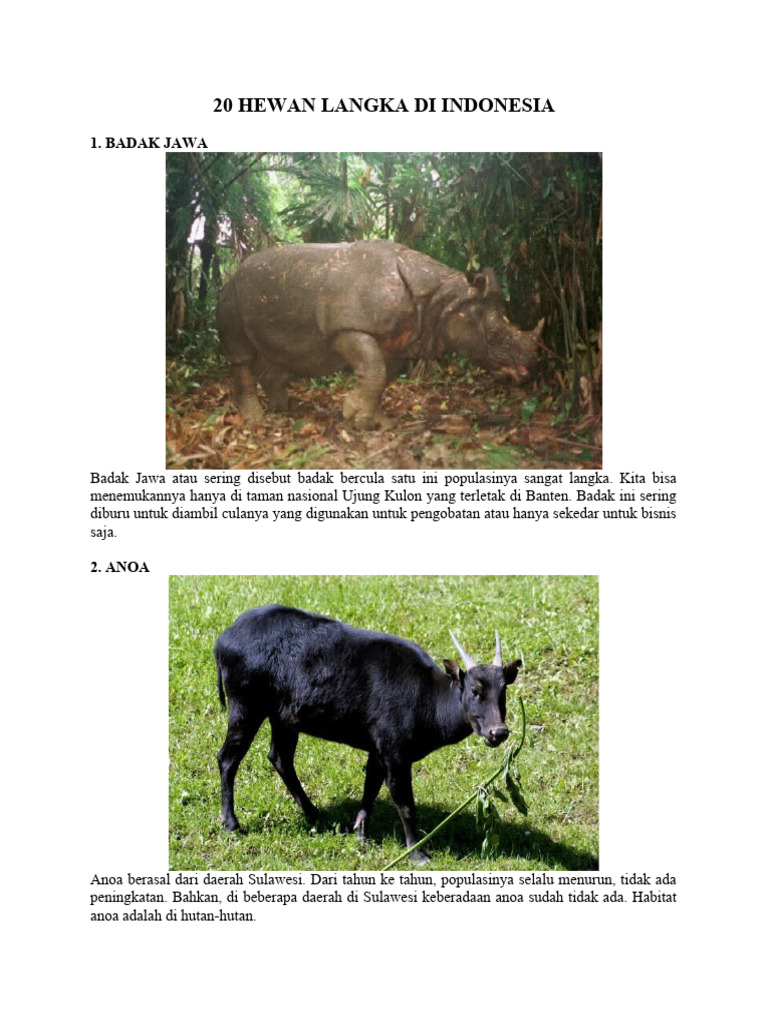 20 Hewan Langka di Indonesia | PDF | Griya & Taman