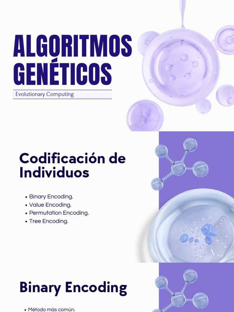 Presentacion Algoritmos Genéticos | PDF | Optimización Matemática ...