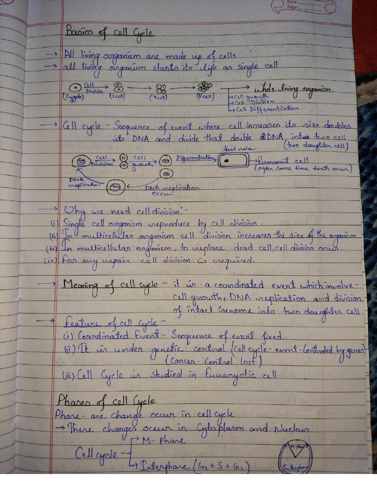 Cell Cycle... Hand Written Notes by Samapti Mam | PDF
