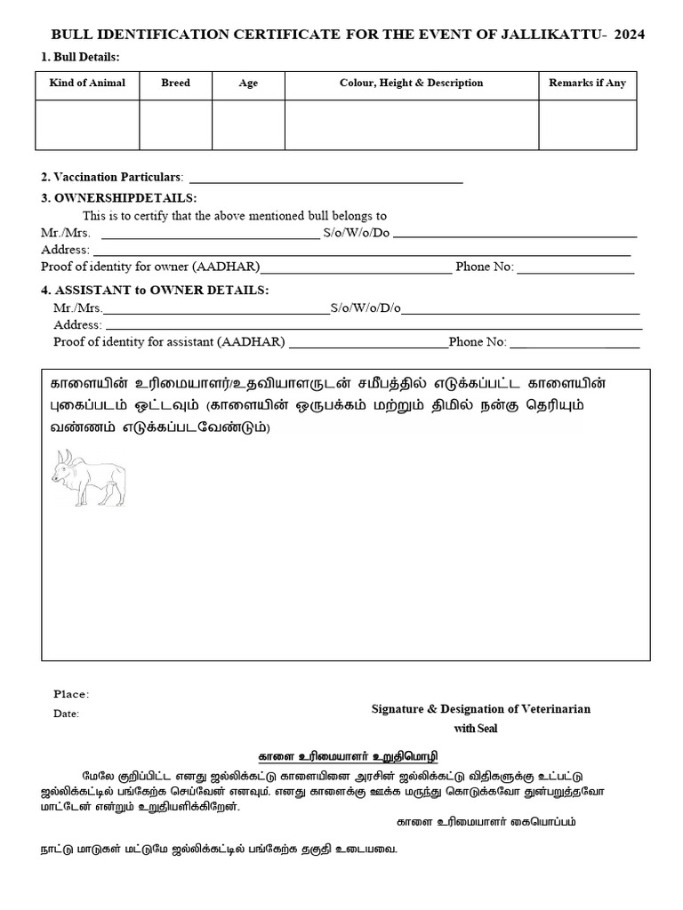 Bull identification -2024 | PDF