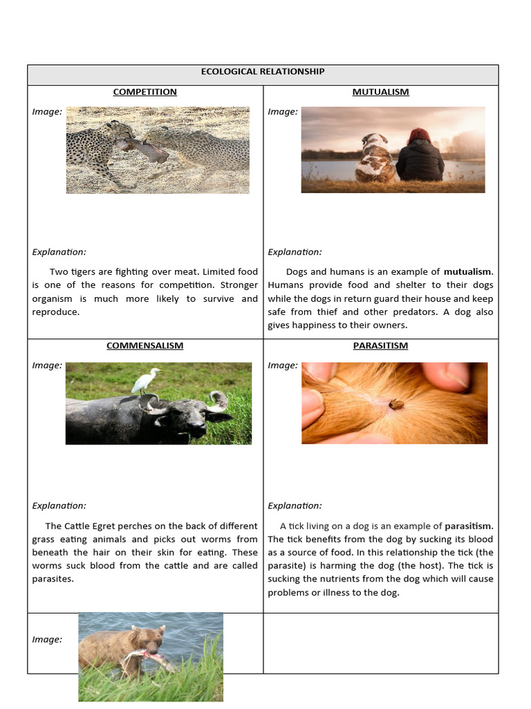 Ecological Relationship | PDF