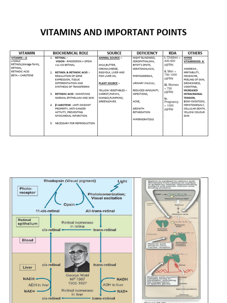 Vitamins - Important Points | PDF | Vitamin B12 | Nicotinamide Adenine ...