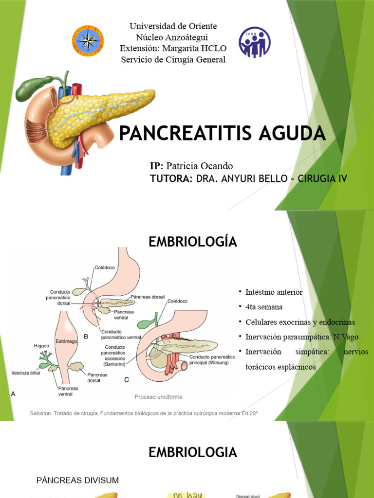 PANCREATITIS AGUDA. Presentación PowerPoint | PDF | Páncreas | Especialidades Medicas