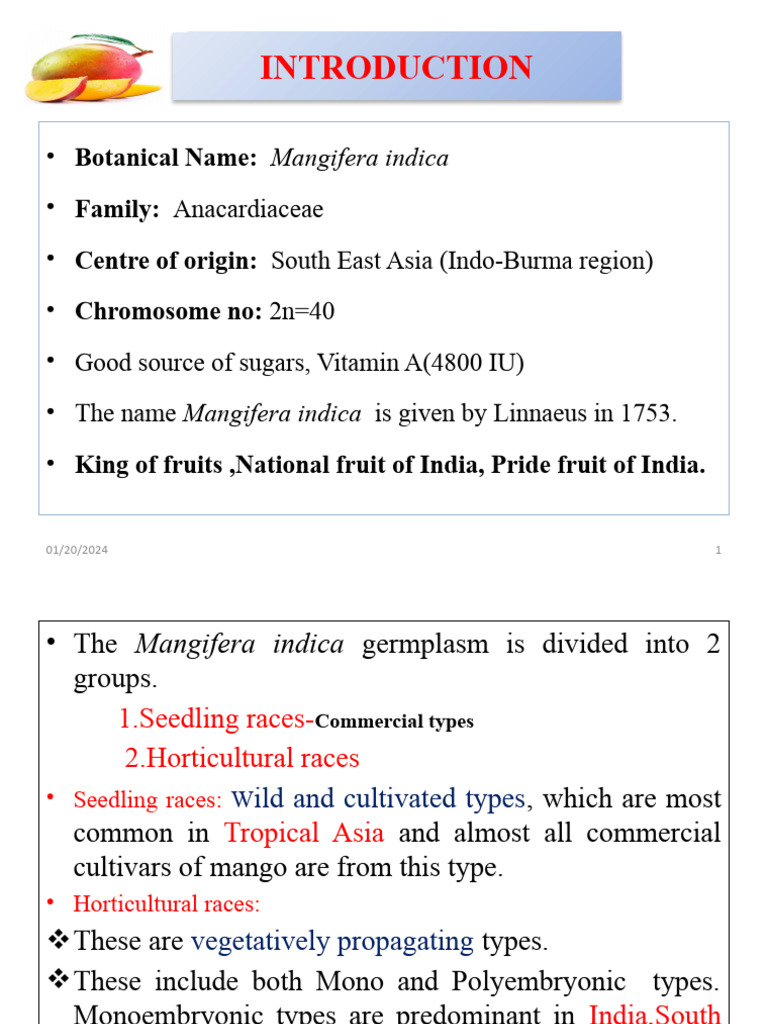 Mango Breeding | PDF | Mango | Flowers