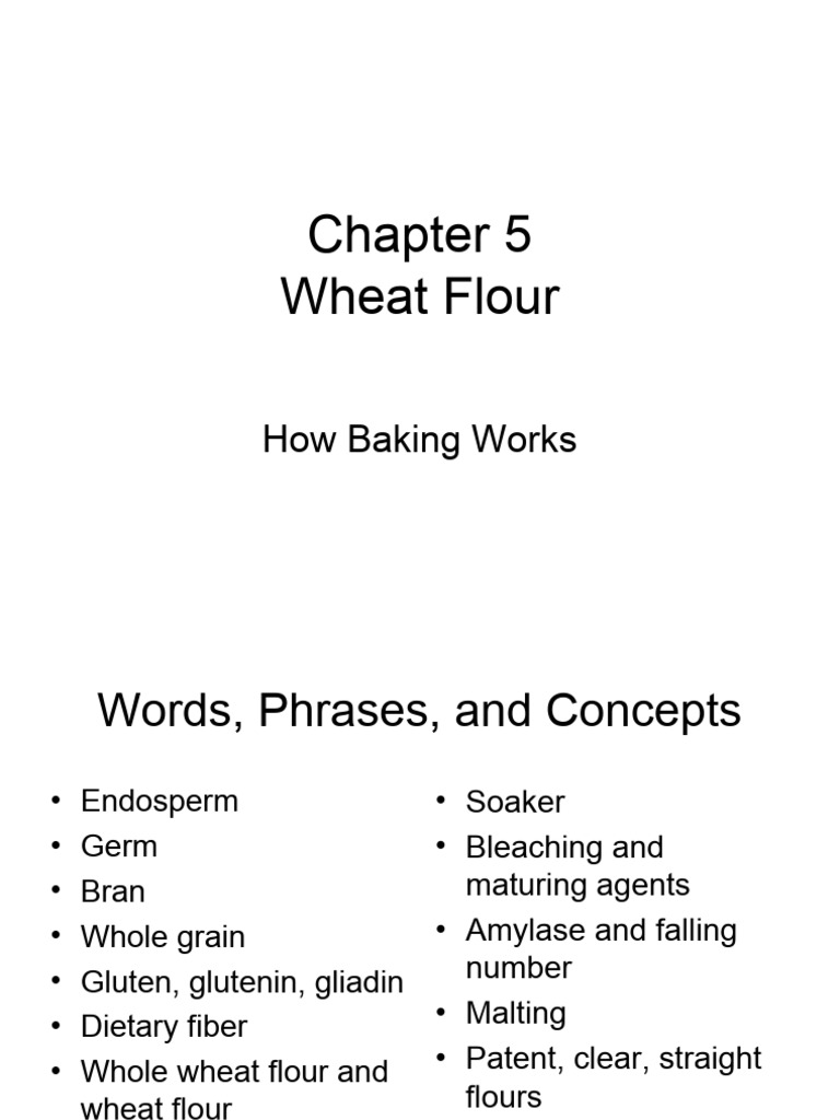 CH 5 Wheat Flour | PDF | Flour | Breads