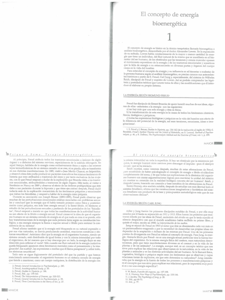 PSIQUE Y SOMA Pag 20 A 49 | PDF