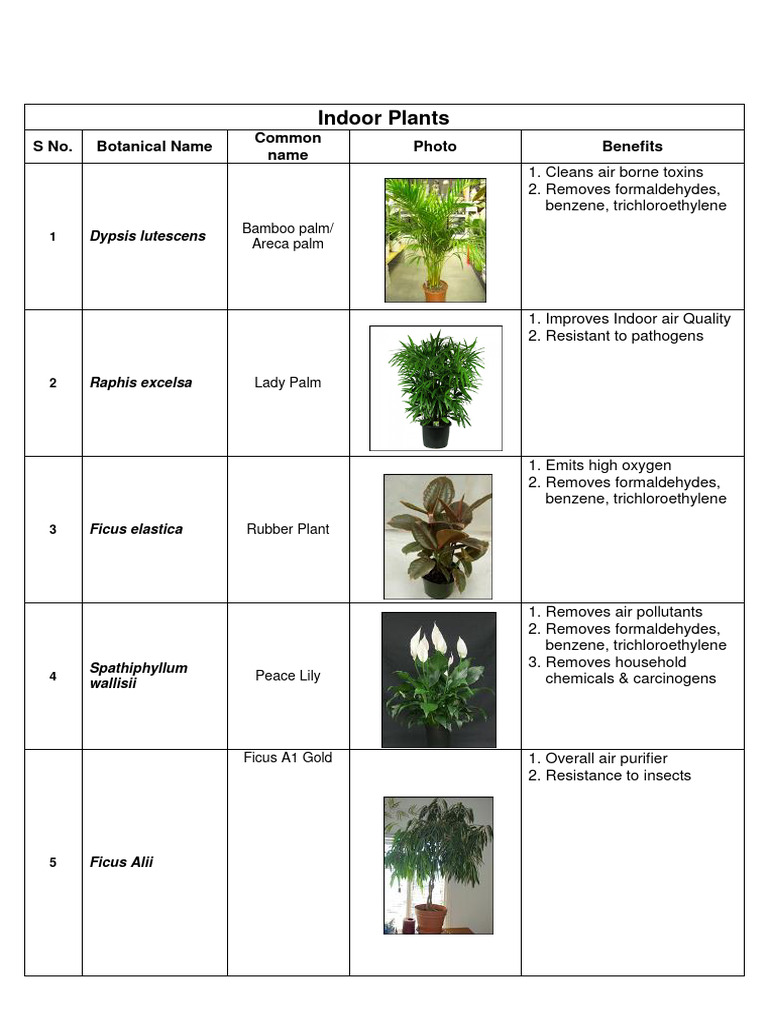 List of Indoor Plants PDF | PDF