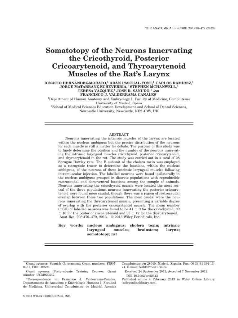 The Anatomical Record - 2013 - Hern Ndez Morato - Somatotopy of The Neurons Innervating The ...