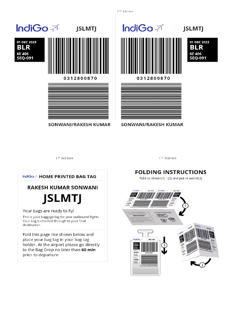 Airline Baggage Tag Sample | PDF