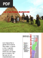 Características y Ubicación de Los Mapuche | PDF | Chile