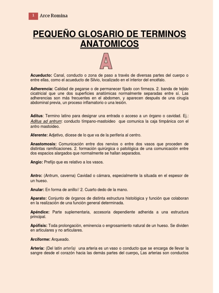 glosario de anatomia