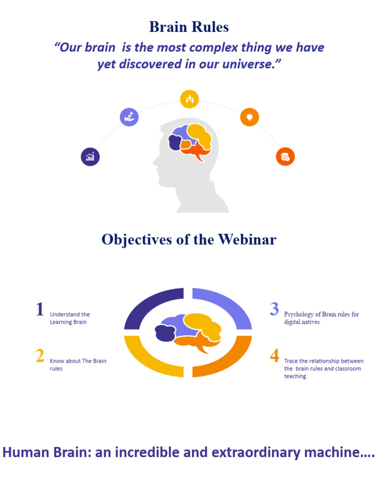 Final Brain Rules | PDF | Memory | Brain