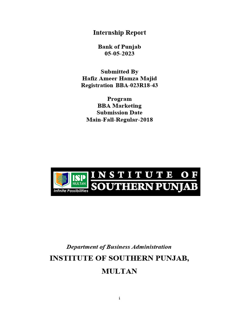 Ameer Hamza Final Report | Download Free PDF | Banks | Marketing