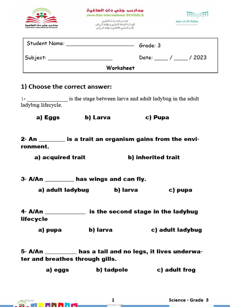 Gr_3_2nd_Term_Worksheet_Mid_ANS | PDF | Frog | Coccinellidae