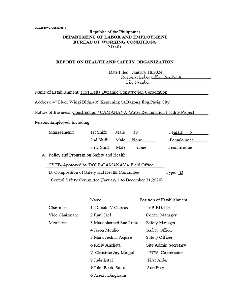 DOLE Report on Safety Organization Form | PDF | Metro Manila | Business