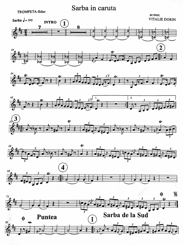 Sirba in Caruta | PDF