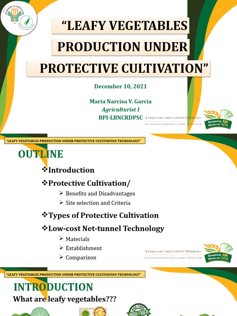 Leafy Vegetables Protective Cultivation Guide | PDF | Vegetables ...