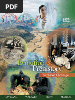 Human Evolution Chart | PDF | Homo | Human Evolution