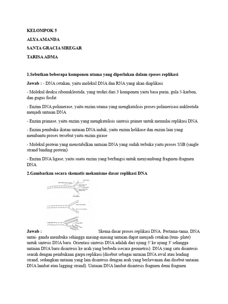 Komponen dan Mekanisme Replikasi DNA | PDF
