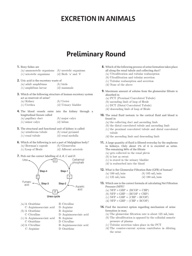 Module - 7 - Zoology - Worksheet | Download Free PDF | Kidney | Animal ...
