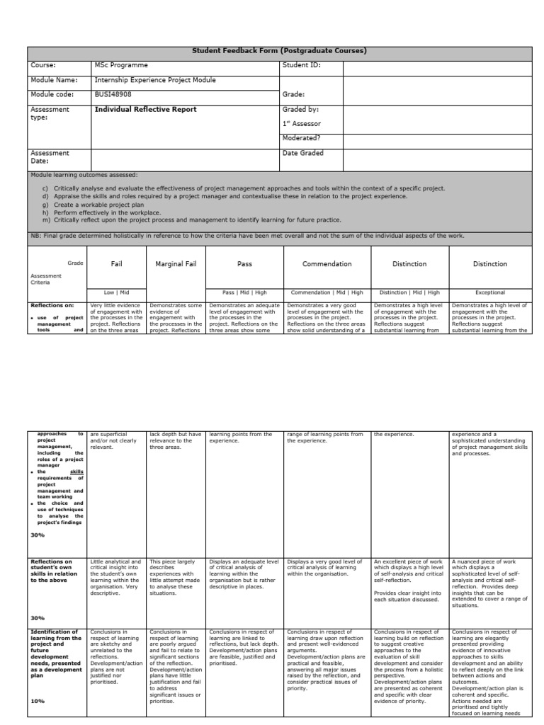 IEP Marking Grid - Individual Reflective Report | PDF | Theory | Experience