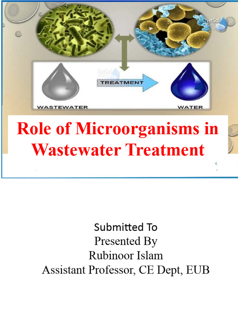Role of Micro Organism | PDF | Sewage Treatment | Bacteria
